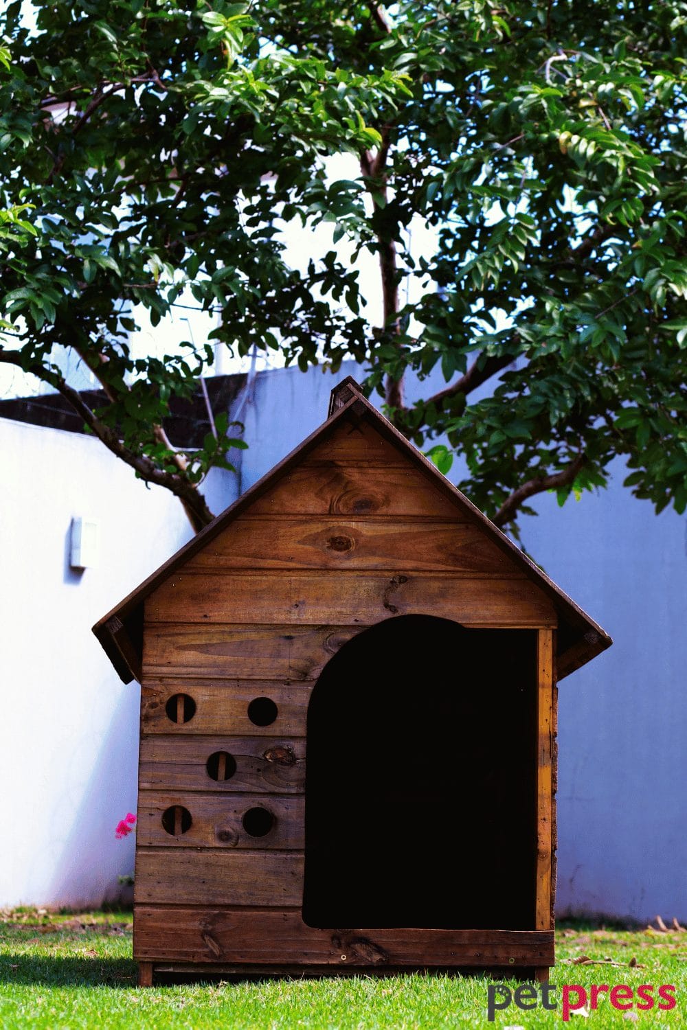 Build the Perfect Oasis: DIY Dog House Outdoors Guide! - PetPress