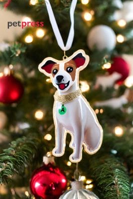 Top 10 Cutest Dog Christmas Tree Ornaments to Wow Your Guests