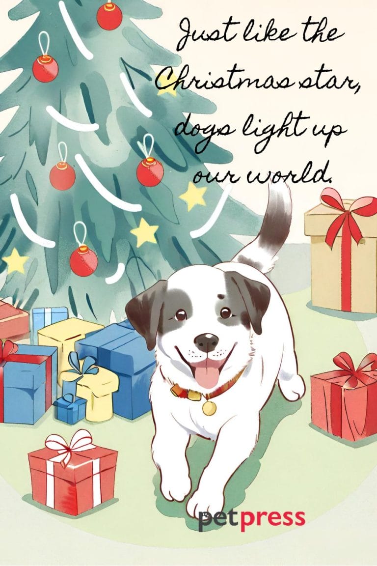 85 Dog Christmas Card Quotes: Bringing Happiness This Season