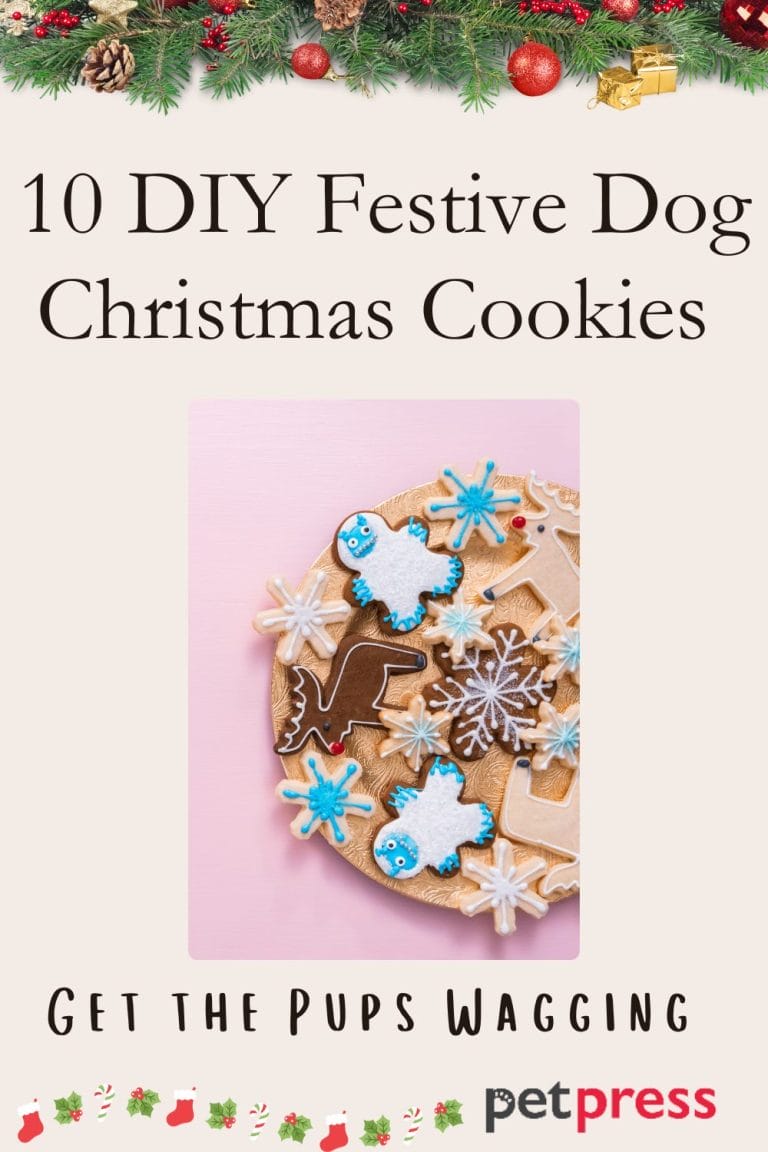 10 DIY Festive Dog Christmas Cookies to Get the Pups Wagging