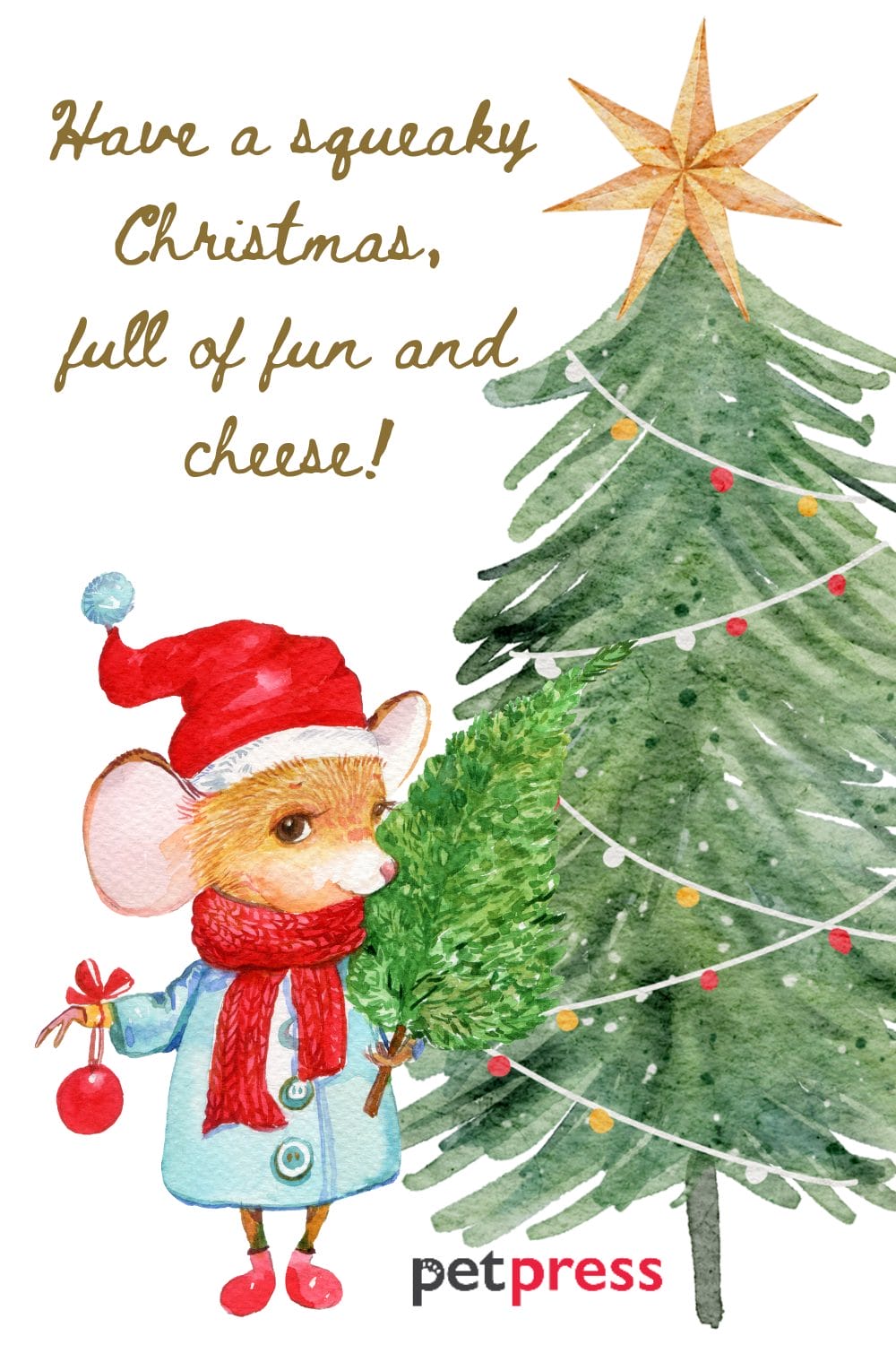135 Animal Christmas Card Quotes: The Sweetest Edition Ever! - PetPress