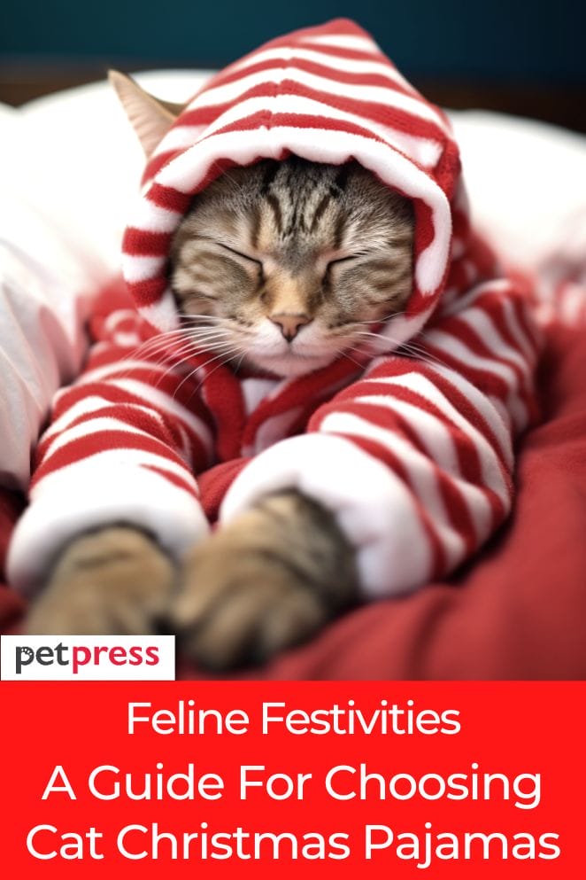 Feline Festivities: A Guide For Choosing Cat Christmas Pajamas