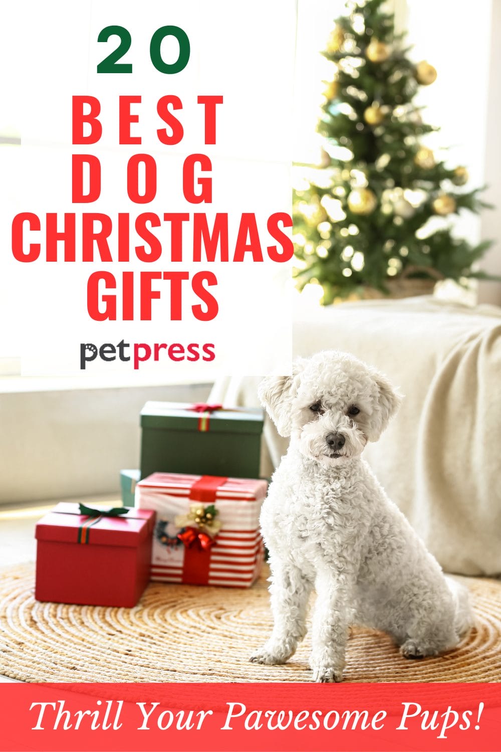 20 Best Dog Christmas Gifts to Thrill Your Pawesome Pups - PetPress