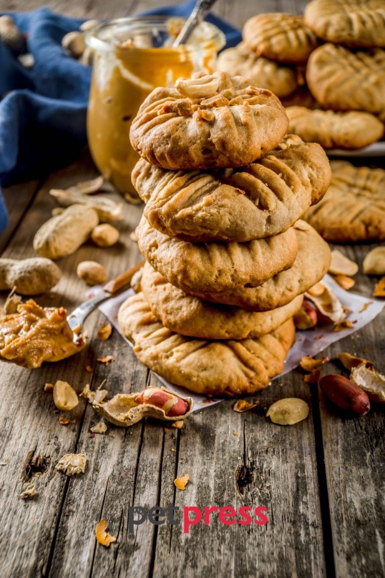 10 DIY Festive Dog Christmas Cookies to Get the Pups Wagging