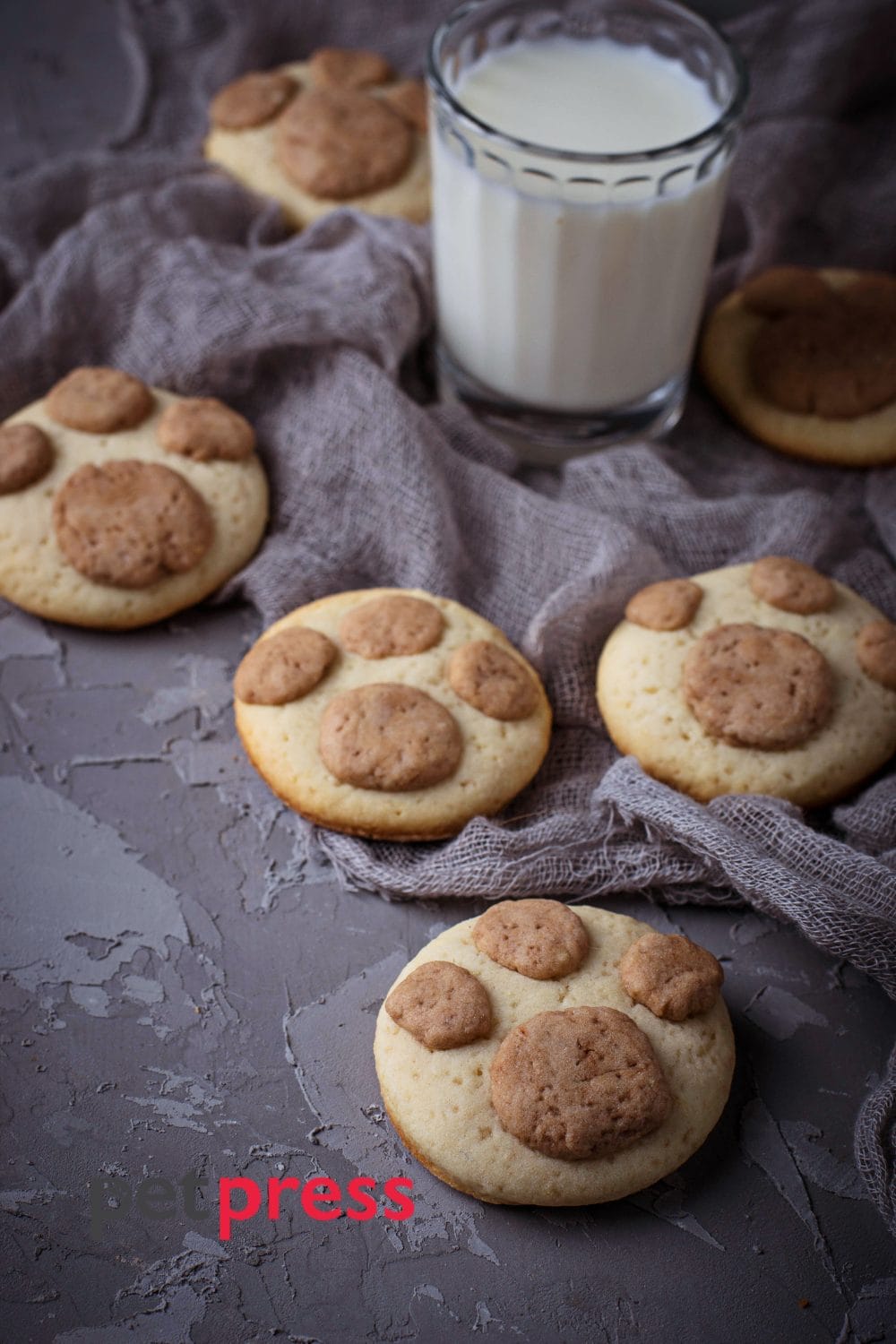 10 DIY Festive Dog Christmas Cookies to Get the Pups Wagging