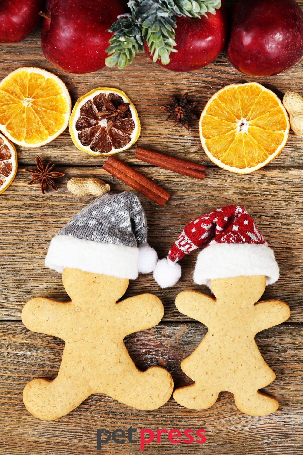 10 DIY Festive Dog Christmas Cookies to Get the Pups Wagging