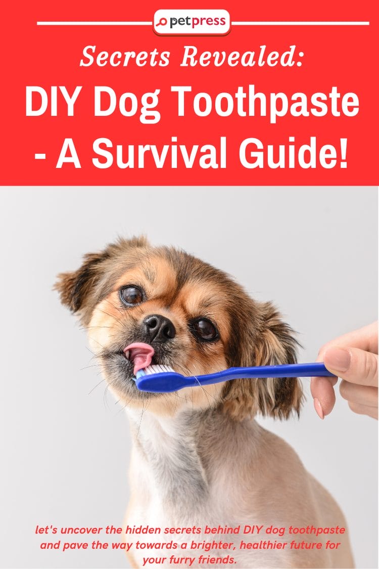 Secrets Revealed: DIY Dog Toothpaste - A Survival Guide! - PetPress