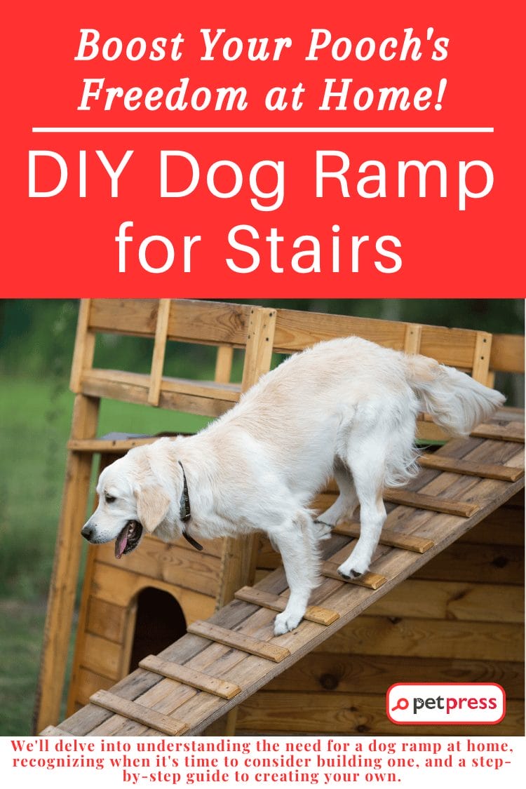 DIY Dog Ramp for Stairs: Boost Your Pooch's Freedom at Home! - PetPress