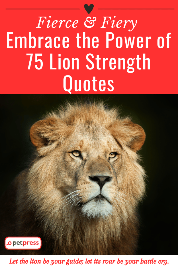 Fierce & Fiery: Embrace the Power of 75 Lion Strength Quotes! - PetPress