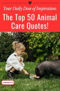 Your Daily Dose of Inspiration: The Top 50 Animal Care Quotes! - PetPress