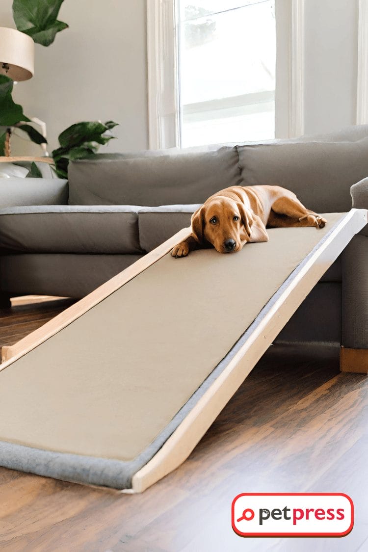 Easy Guide to DIY Dog Ramp for Couch: Access Made Simple! - PetPress