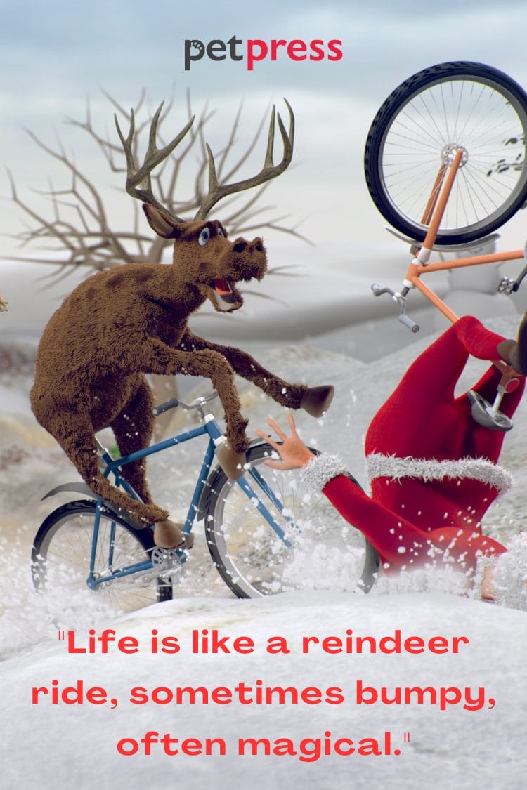 Feeling Bucky? Dive Into 100+ Funny Christmas Deer Quotes! - PetPress