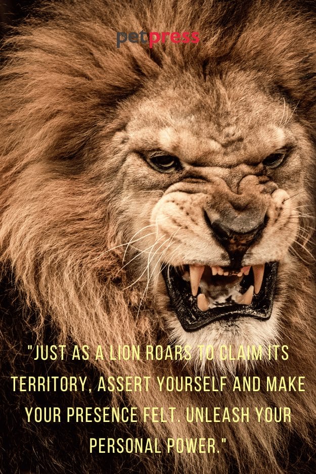 Fierce & Fiery: Embrace the Power of 75 Lion Strength Quotes! - PetPress