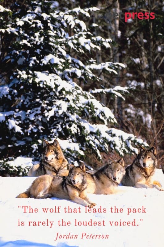 Find Your Alpha: Top 85 Badass Wolf Quotes to Ignite Your Spirit - PetPress