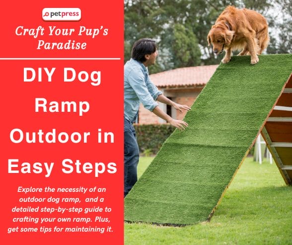 Craft Your Pup’s Paradise: DIY Dog Ramp Outdoor in Easy Steps - PetPress