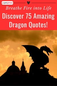 Breathe Fire into Life: Discover 75 Amazing Dragon Quotes! - PetPress