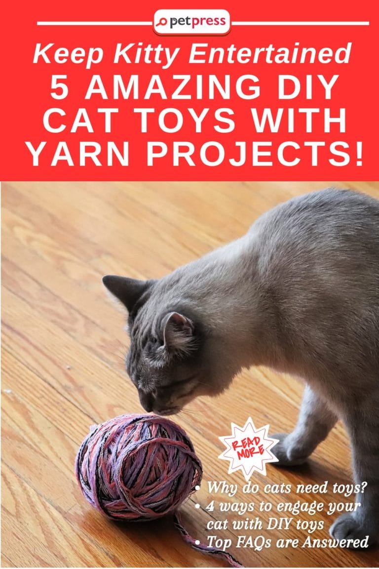 Keep Kitty Entertained: 5 Amazing DIY Cat Toys with Yarn Projects ...