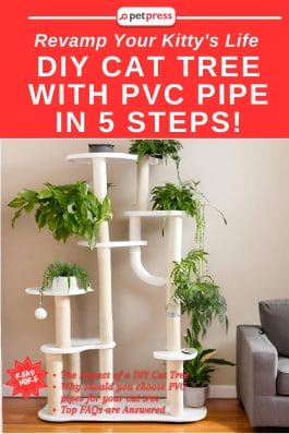 Revamp Your Kitty's Life: DIY Cat Tree with PVC Pipe in 5 Steps! - PetPress