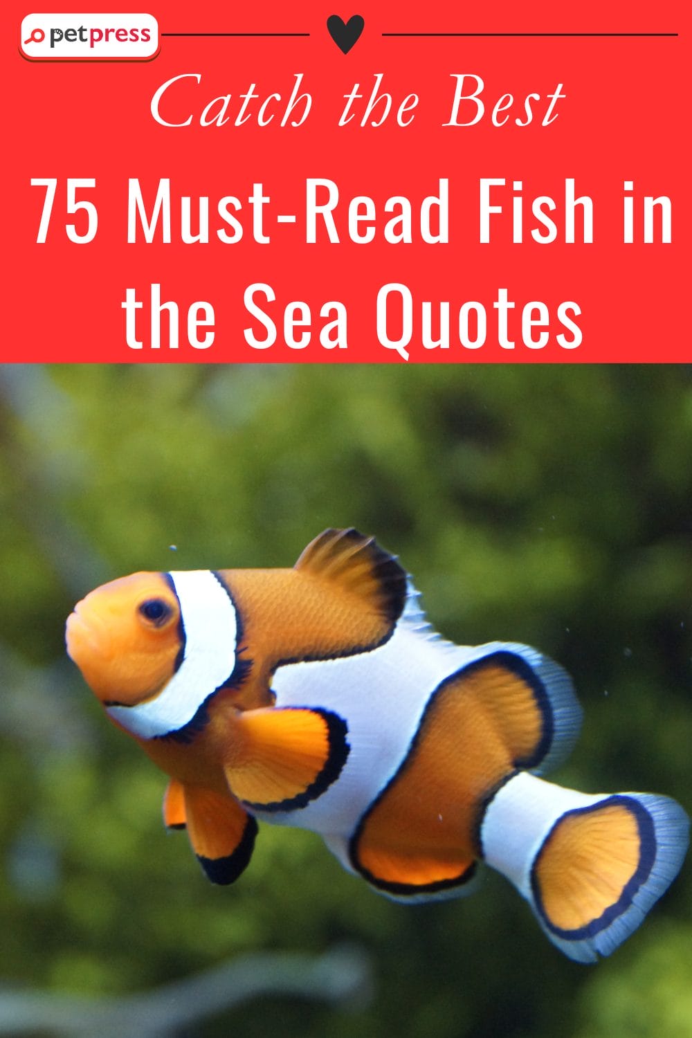 Catch the Best: 75 Must-Read Fish in the Sea Quotes - PetPress