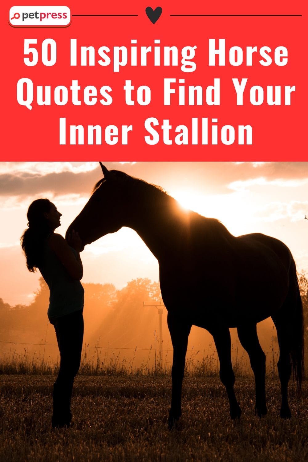 50 Inspiring Horse Quotes to Find Your Inner Stallion - PetPress