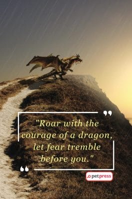 Breathe Fire into Life: Discover 75 Amazing Dragon Quotes! - PetPress