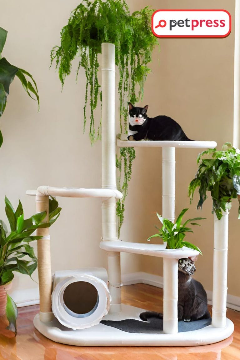 Revamp Your Kitty's Life: DIY Cat Tree with PVC Pipe in 5 Steps! - PetPress