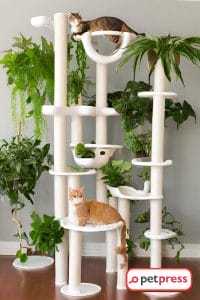 Revamp Your Kitty's Life: DIY Cat Tree with PVC Pipe in 5 Steps! - PetPress