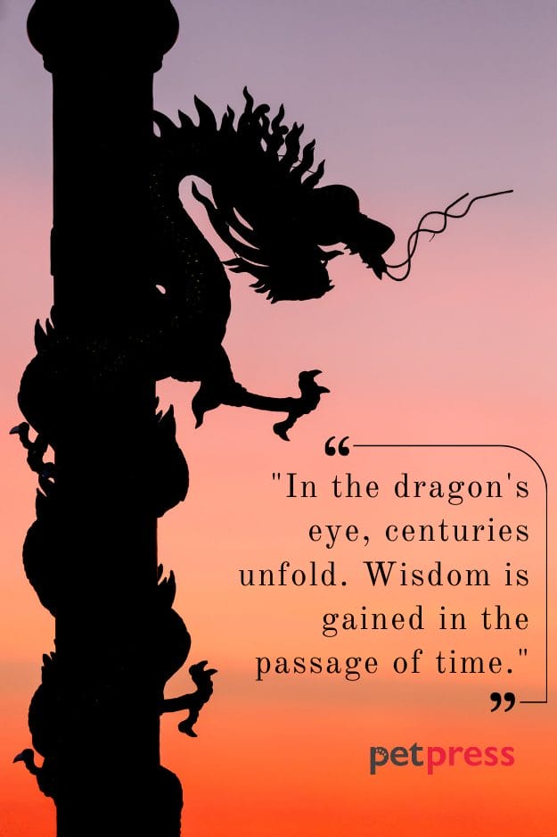 Breathe Fire into Life: Discover 75 Amazing Dragon Quotes! - PetPress