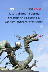 Breathe Fire into Life: Discover 75 Amazing Dragon Quotes! - PetPress