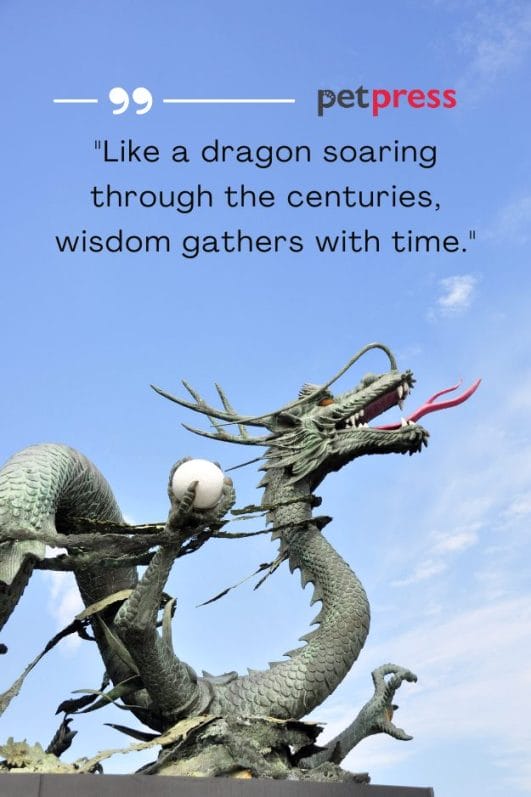 Breathe Fire into Life: Discover 75 Amazing Dragon Quotes! - PetPress