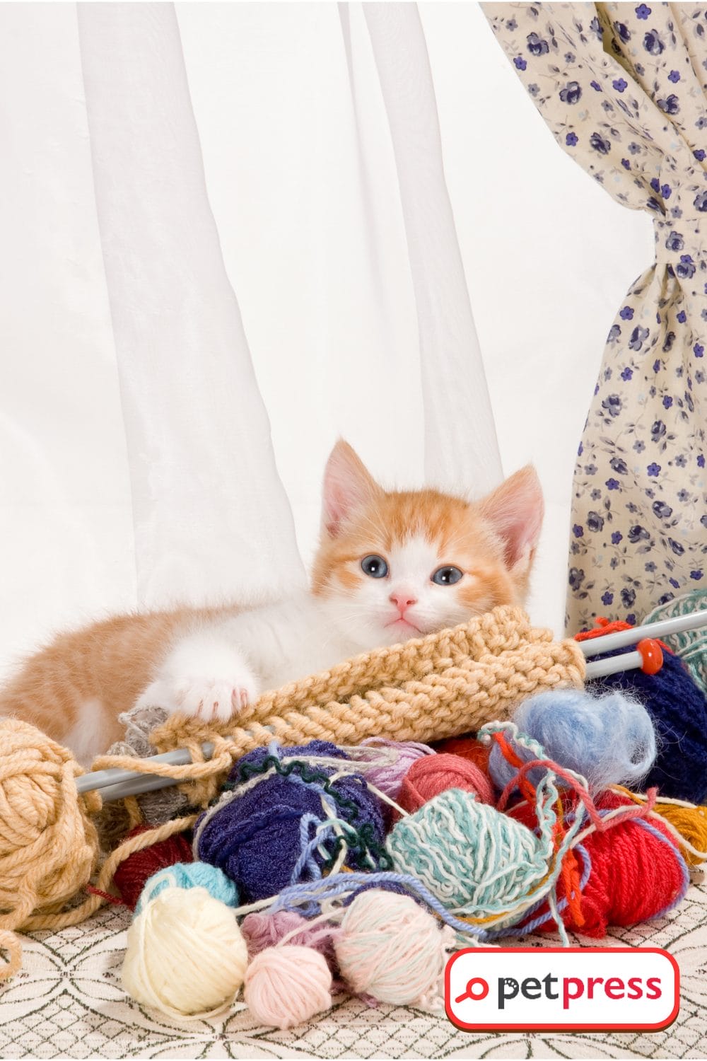 Keep Kitty Entertained: 5 Amazing DIY Cat Toys with Yarn Projects ...