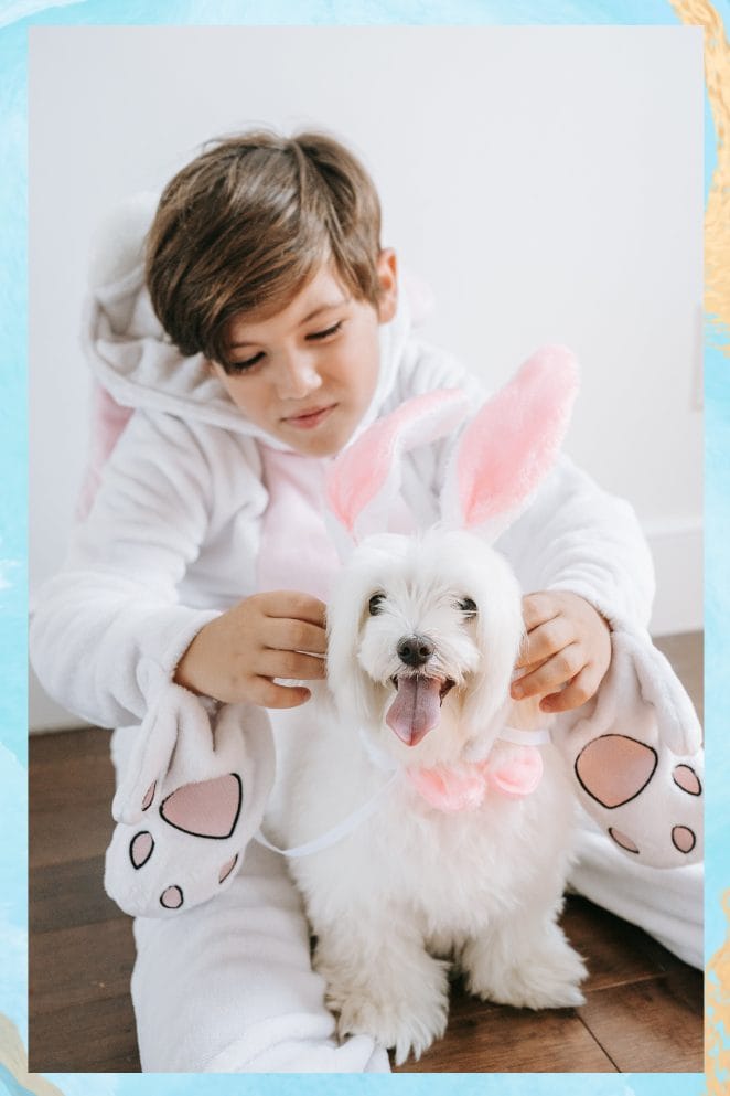 National Dress Up Your Pet Day: What to Do to Make This Day Special ...