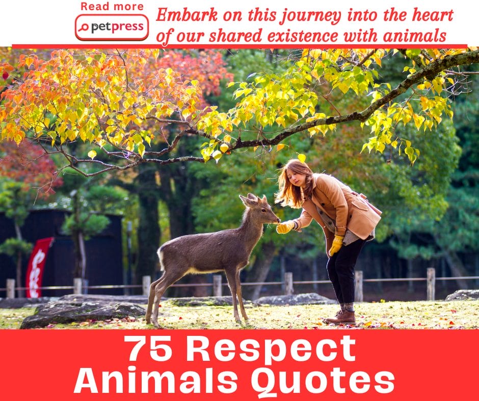 Your Daily Dose of Inspiration: The Top 50 Animal Care Quotes! - PetPress