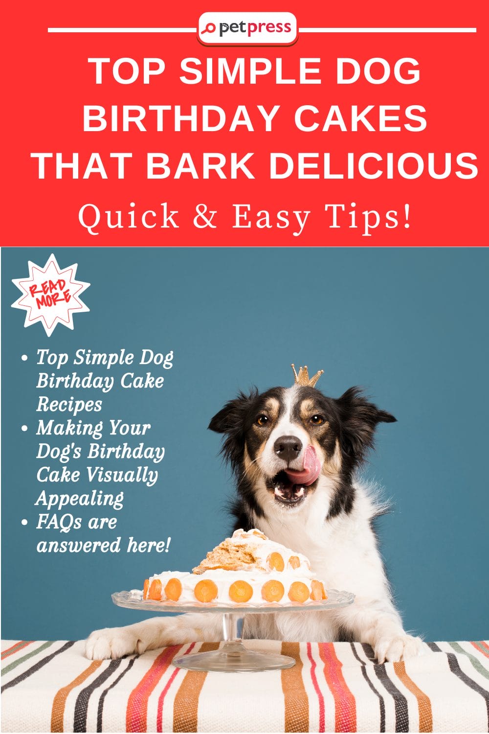 Quick & Easy: Top Simple Dog Birthday Cakes That Bark Delicious - PetPress