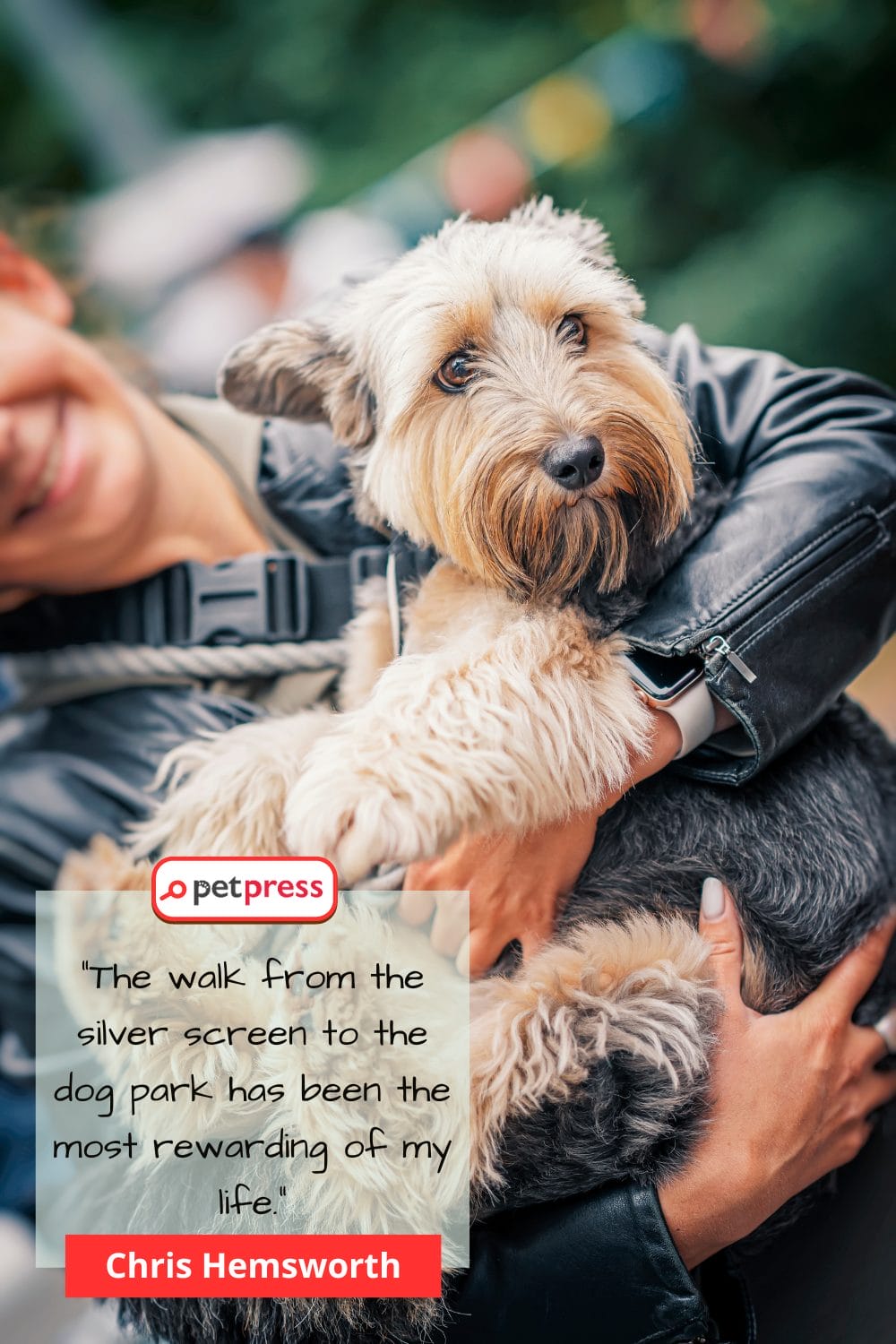 Hollywood's Reveal: Top 50 Celebrity Quotes on Dog Adoption - PetPress