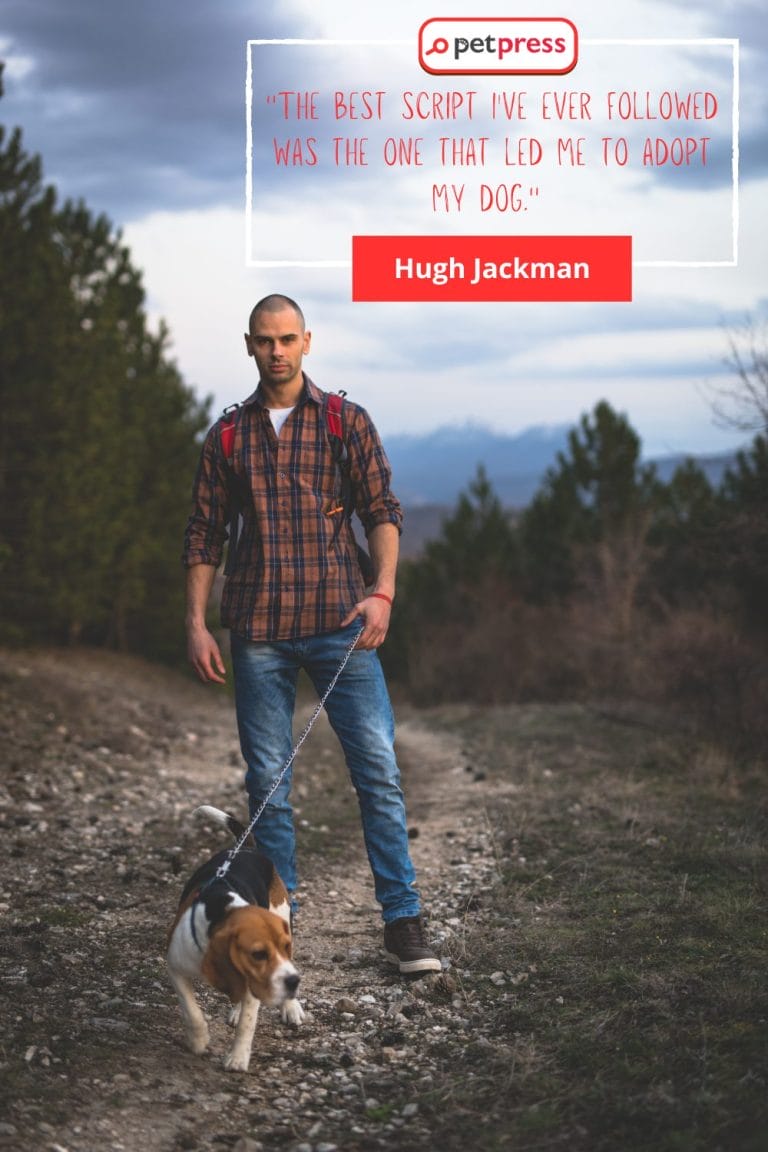 Hollywood's Reveal: Top 50 Celebrity Quotes on Dog Adoption - PetPress