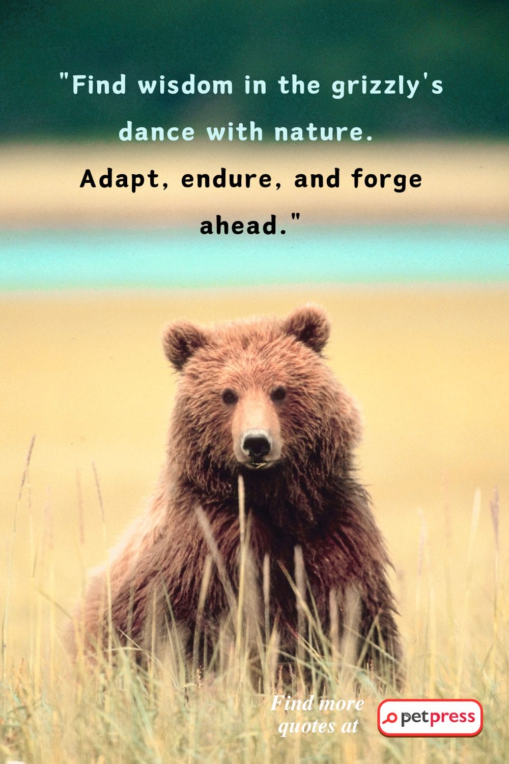 75 Ultimate Grizzly Bear Quotes: Inspiration Drawn from the Wild ...