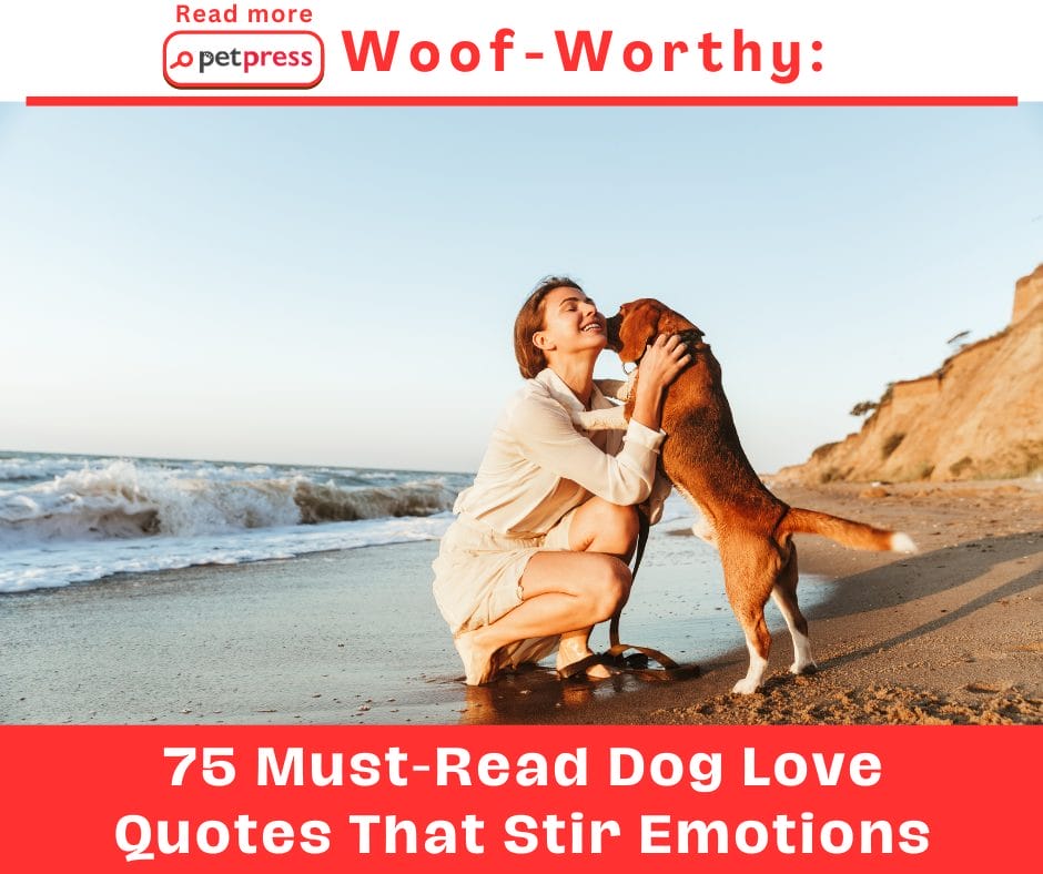 Woof-Worthy: 75 Must-Read Dog Love Quotes That Stir Emotions - PetPress