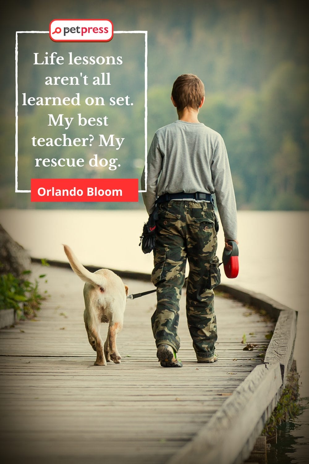 50 Heartwarming Dog Rescue Quotes by Celebrities - PetPress