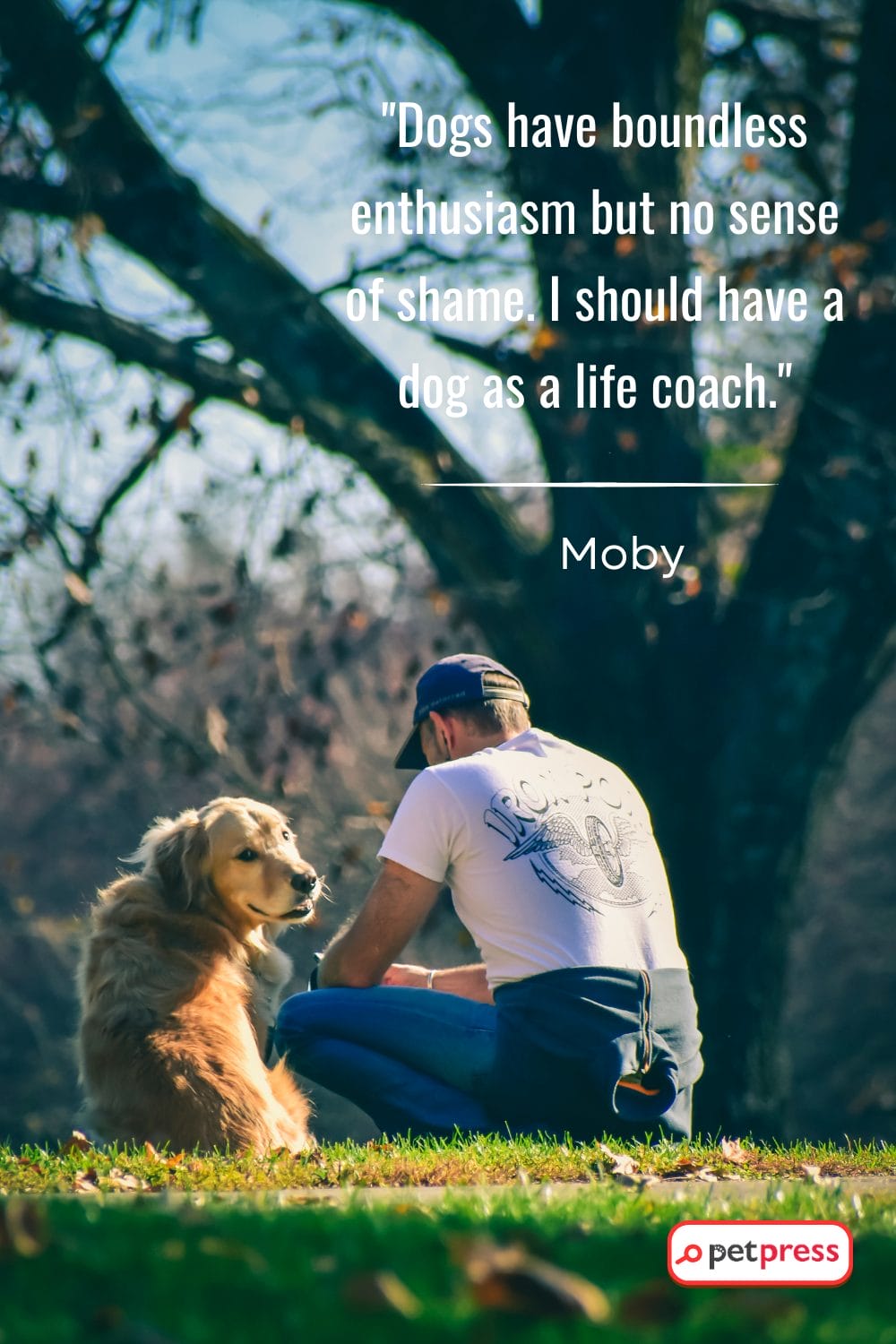 75 Short Dog Quotes by Celebrities: Get Your Paws on Them Now! - PetPress