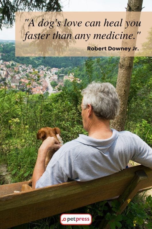 75 Short Dog Quotes by Celebrities: Get Your Paws on Them Now! - PetPress