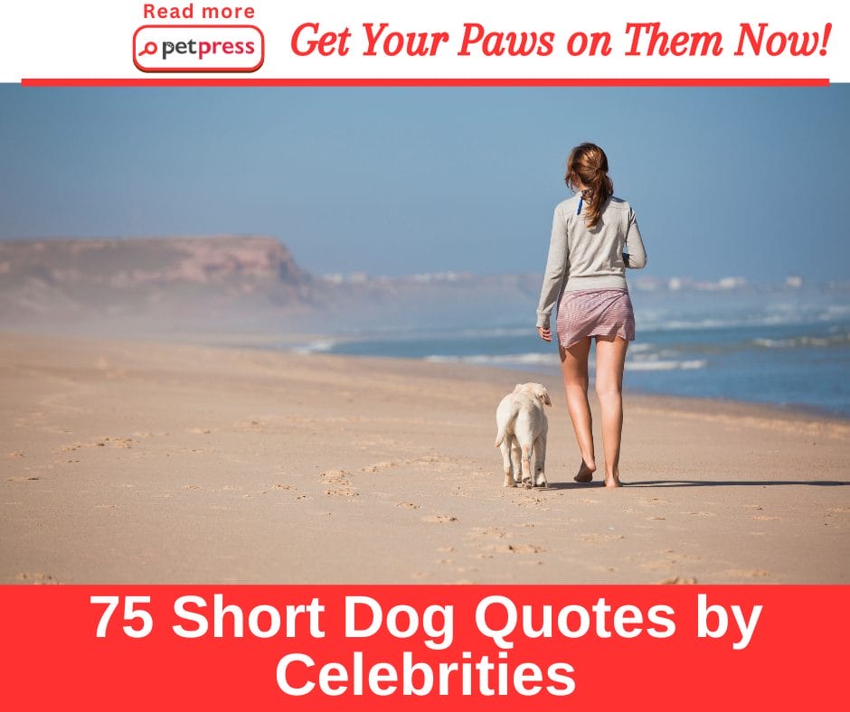 75 Short Dog Quotes by Celebrities: Get Your Paws on Them Now! - PetPress