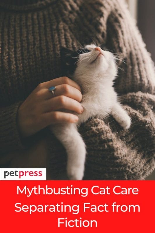 Mythbusting Cat Care - Separating Fact from Fiction