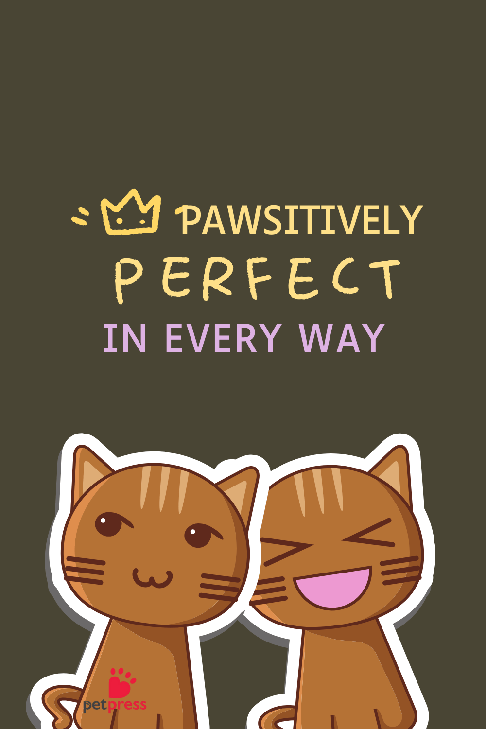 100+ Cat Puns Quotes for T-Shirts: Purr-fect Phrases to Wear! - PetPress