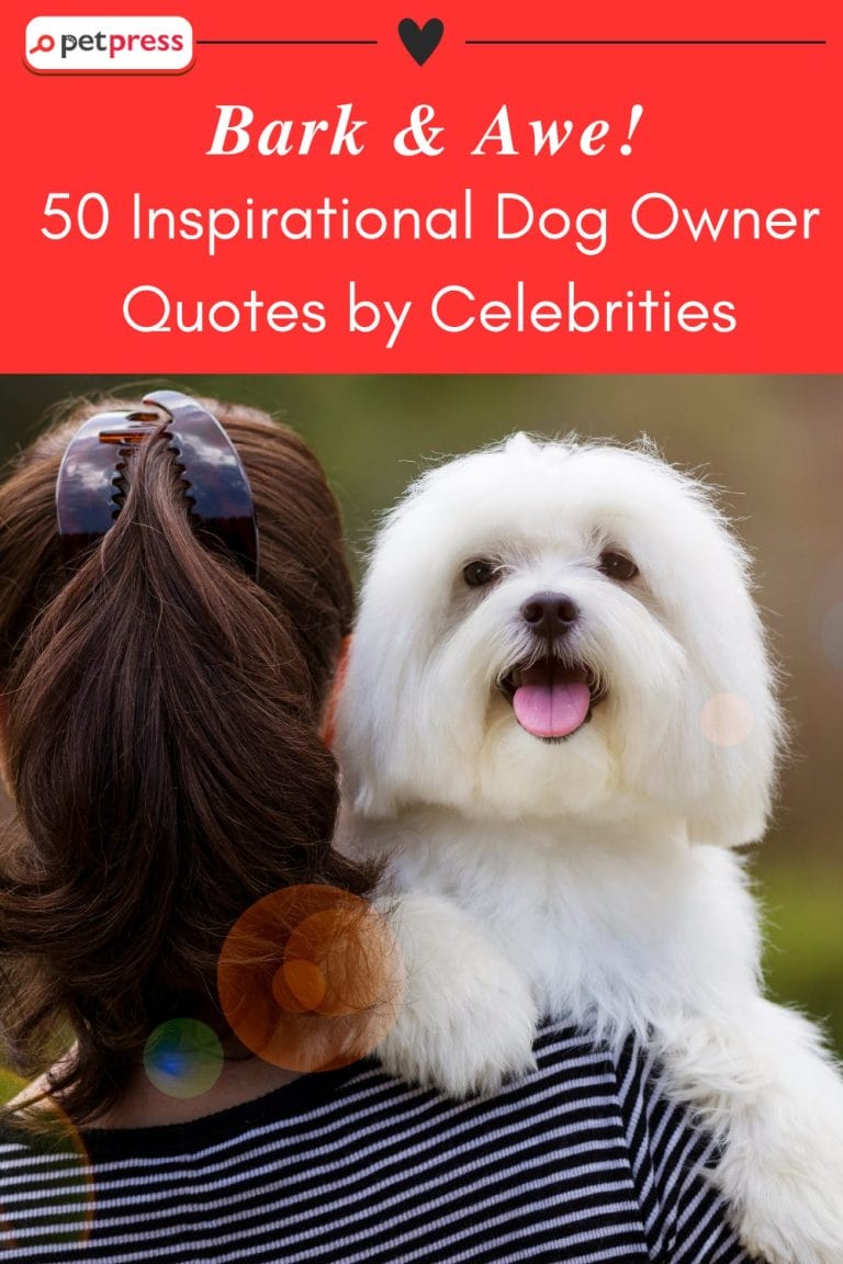 Bark & Awe: 50 Inspirational Dog Owner Quotes by Celebrities - PetPress