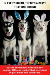 Funny Dog Easter Memes: Get Ready to Crack Up! - PetPress