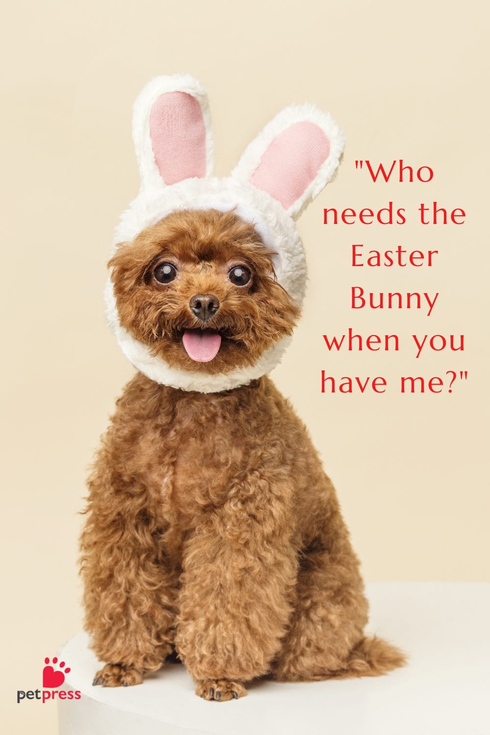 100 Easter Dog Captions to Egg-cite Your Followers! - PetPress