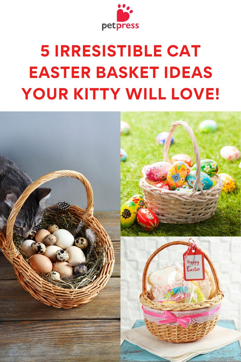 5 Irresistible Cat Easter Basket Ideas Your Kitty Will Love! - PetPress