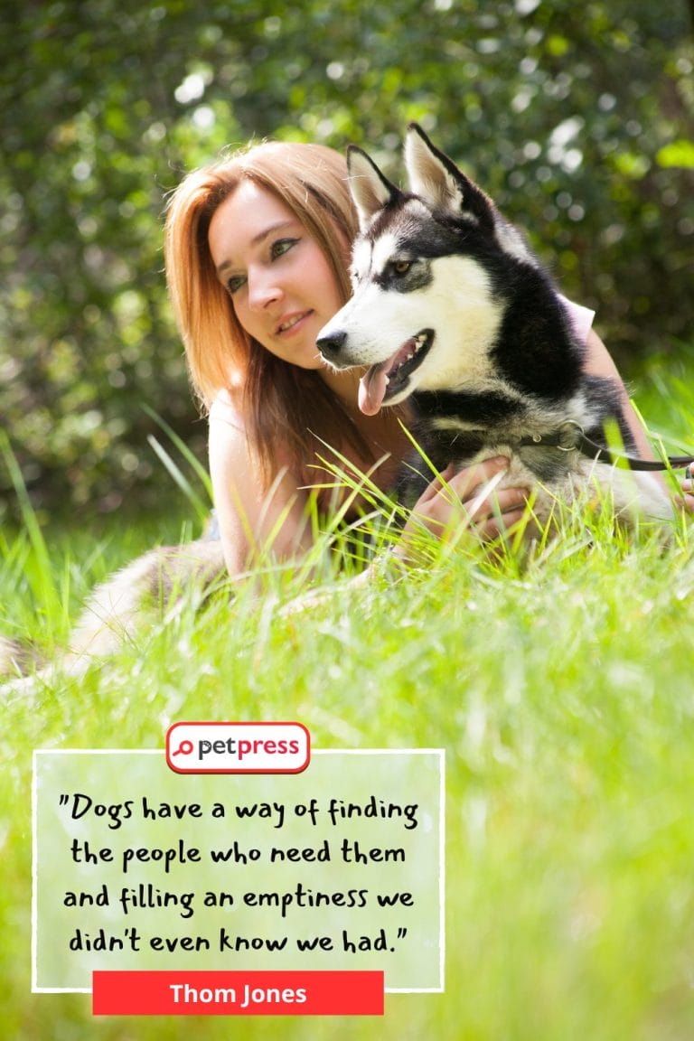 Bark & Awe: 50 Inspirational Dog Owner Quotes by Celebrities - PetPress