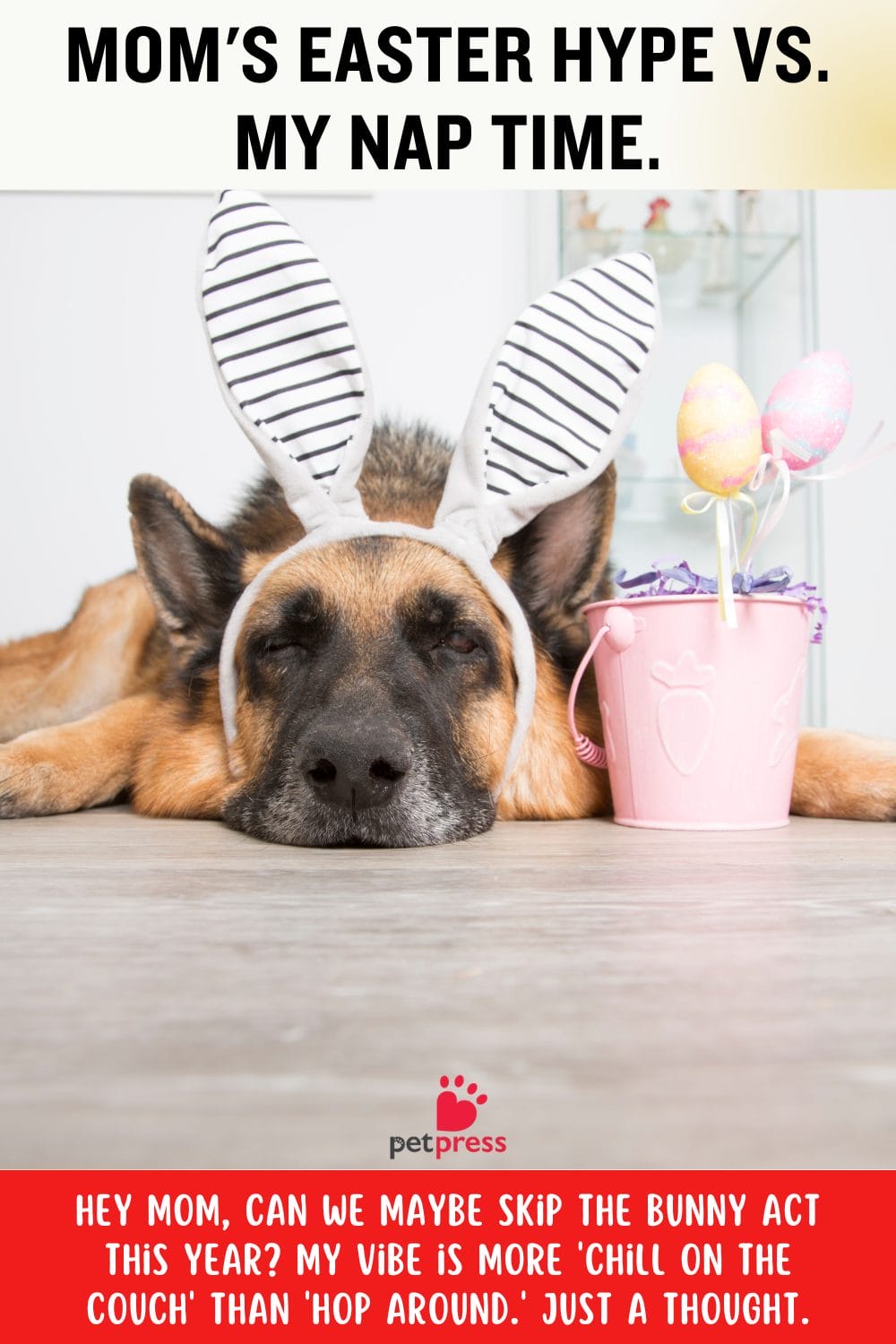 Funny Dog Easter Memes: Get Ready to Crack Up! - PetPress